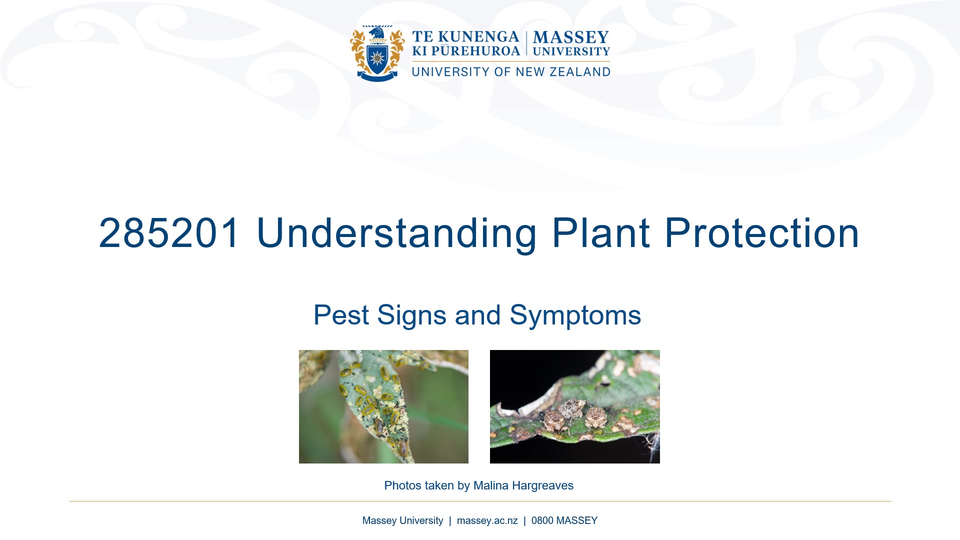 Pest Signs and Symptoms
